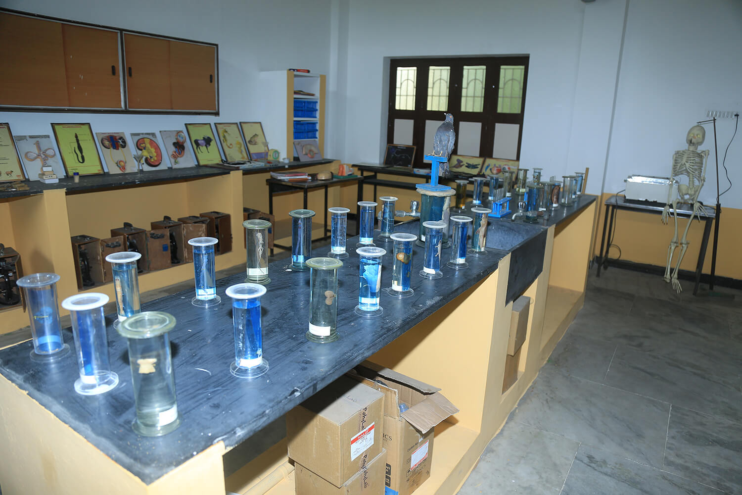 Biology Lab - CMHSS - Tindivanam